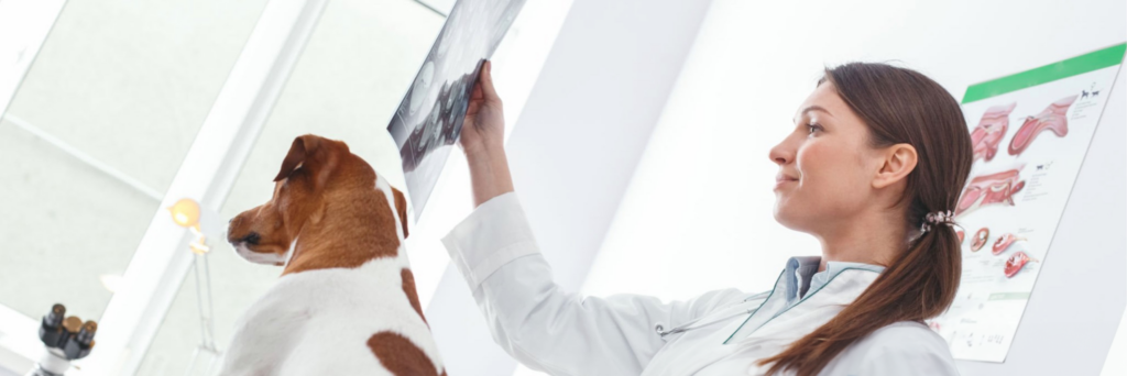 AAVSB - American Association of Veterinary State Boards